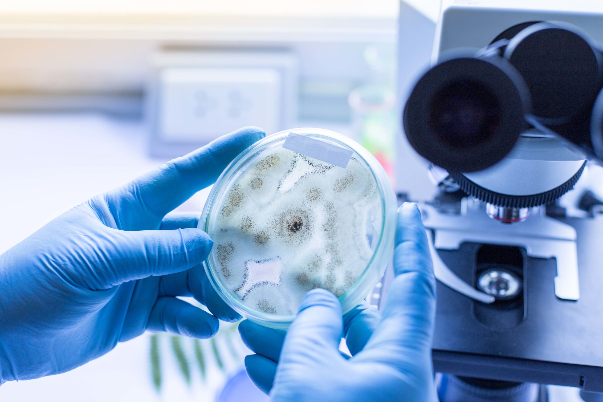 Retest Analysis: When Original Sample Results and Retest Results Don’t ...